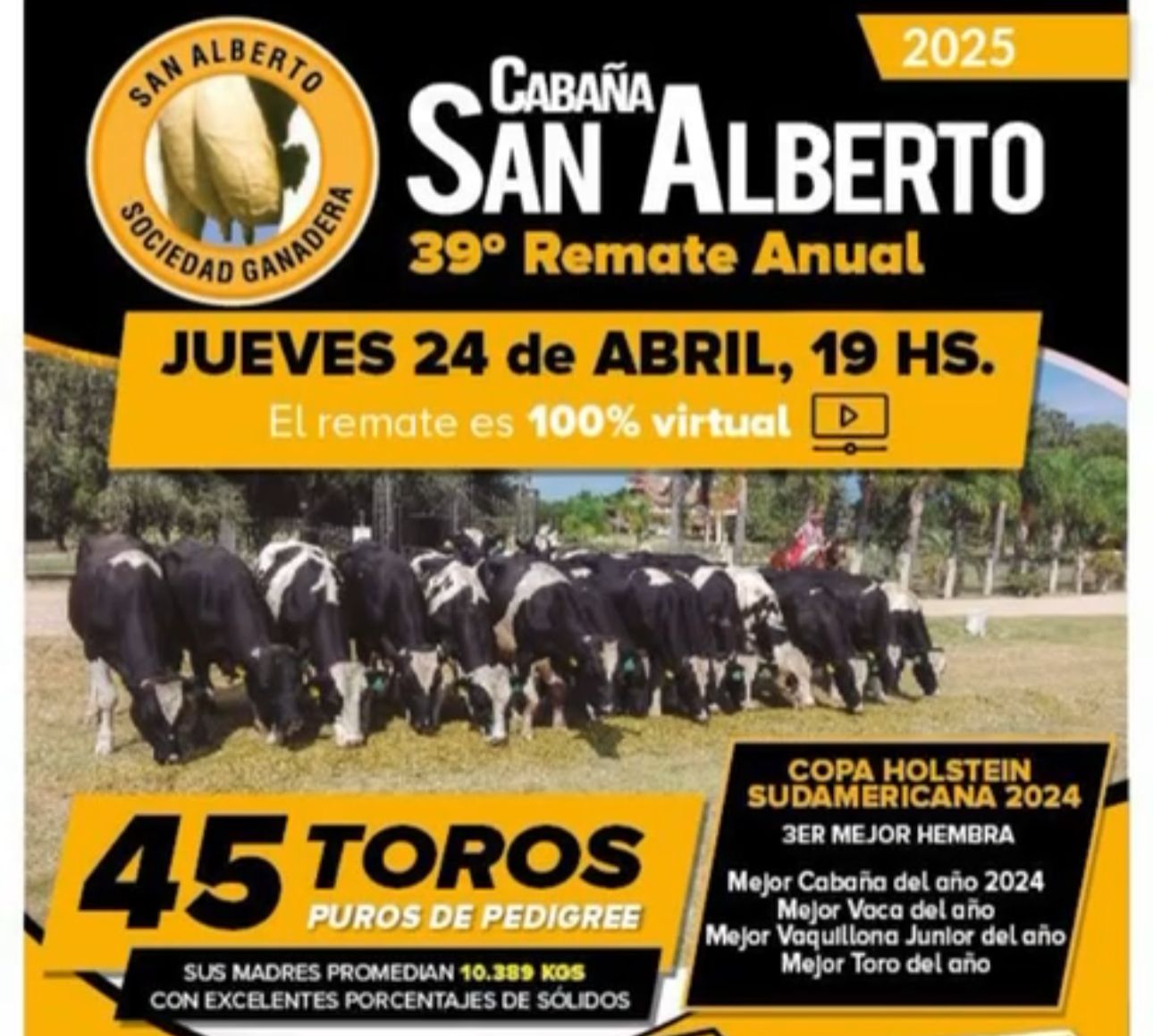 Gabriel Brum: Cabaña San Alberto presenta hoy con su 39º Remate Anual 100% virtual - Agroactualidad